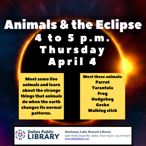 Animals and the Eclipse | Dallas Public Library